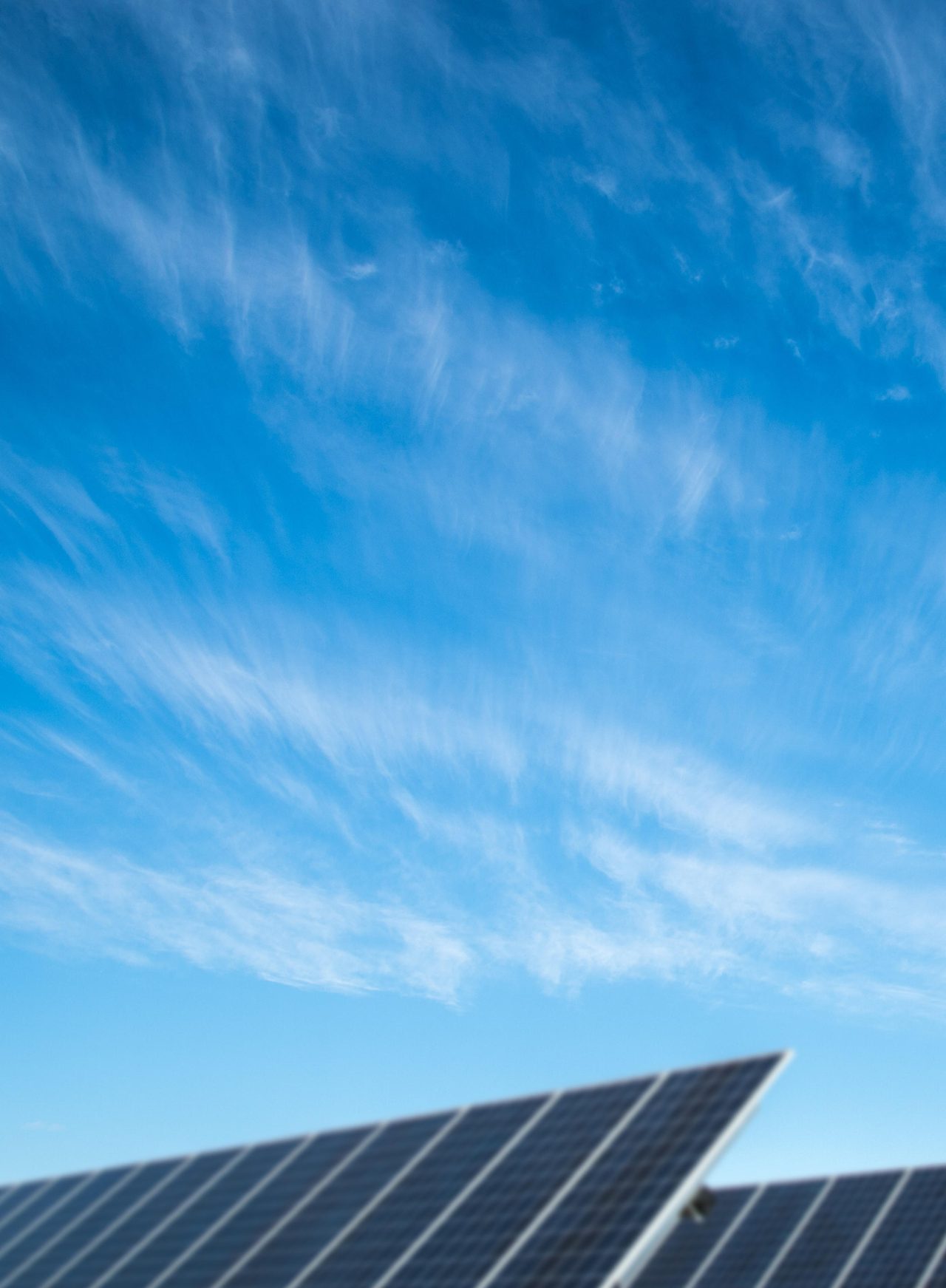 Treading Bank Solar Farm | Renewable Connections